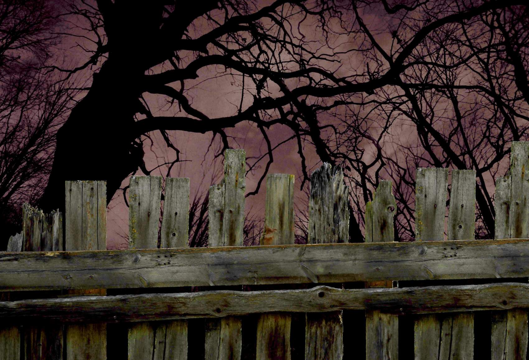 Haunted Attractions Denver, CO | Haunted Museum & Escape Rooms